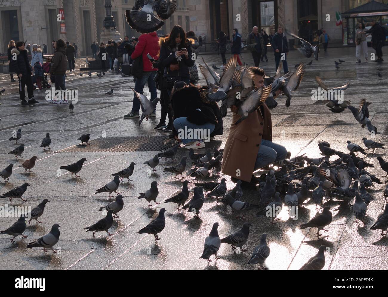 Tourists feeding the pigeons hi-res stock photography and images - Alamy