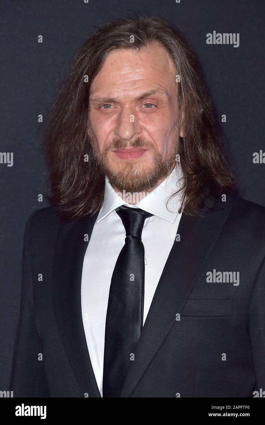 Los Angeles, USA. 21st Jan, 2020. Niall Greig Fulton at the premiere of ...