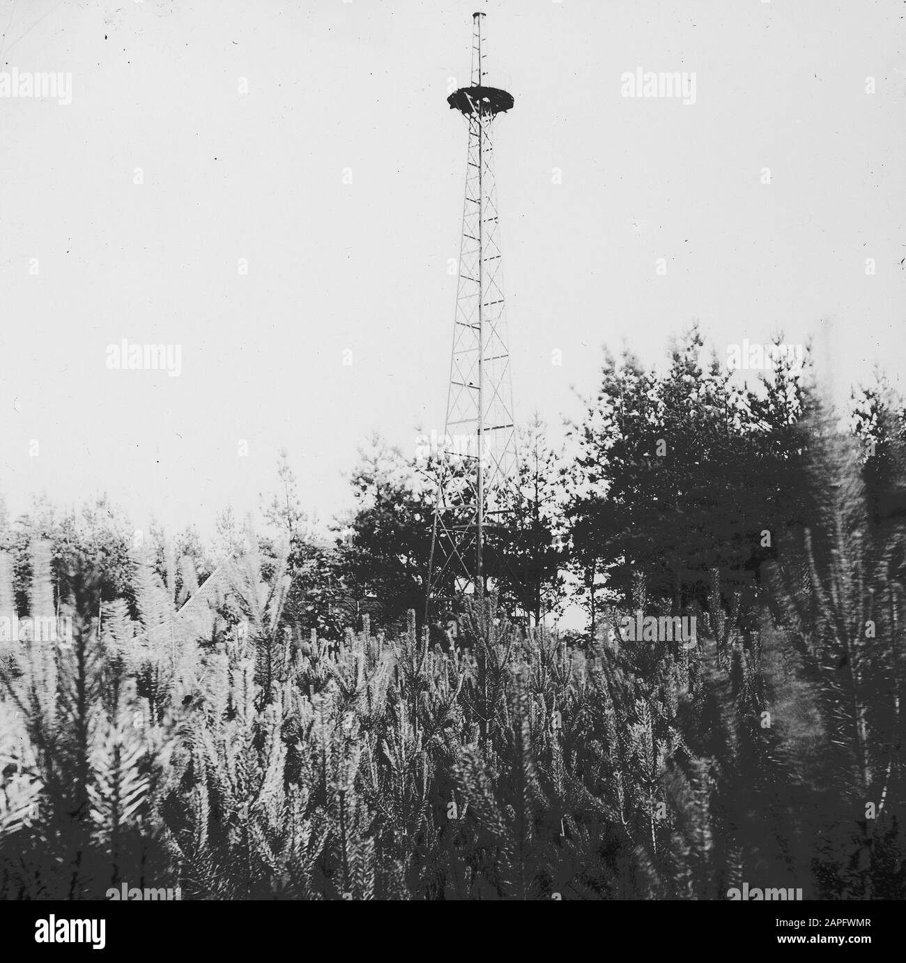Fire Towers High Resolution Stock Photography and Images - Alamy