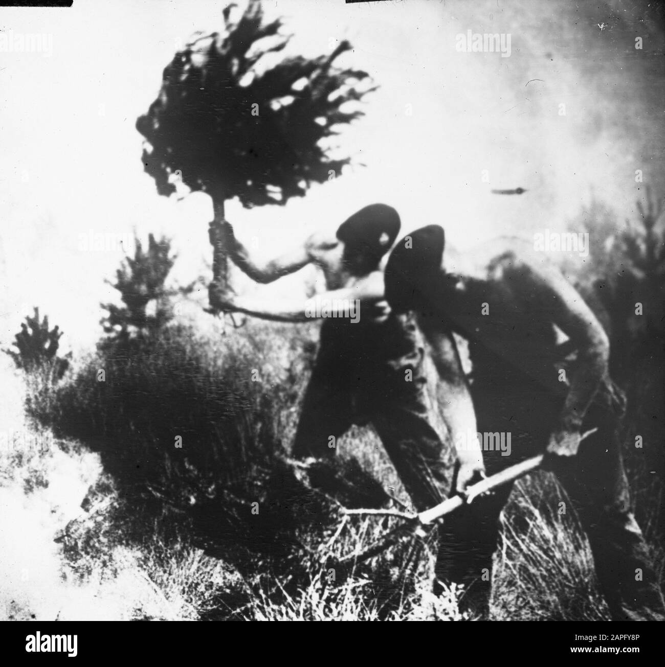 forestry, forest fire, extinguishing, branches Date: undated Keywords ...