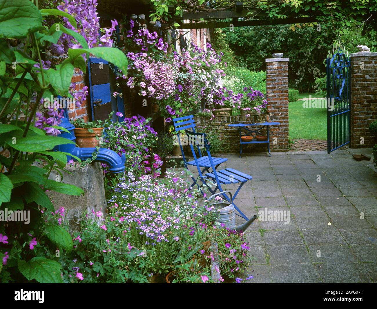 Petunia lobelia geranium hi-res stock photography and images - Alamy
