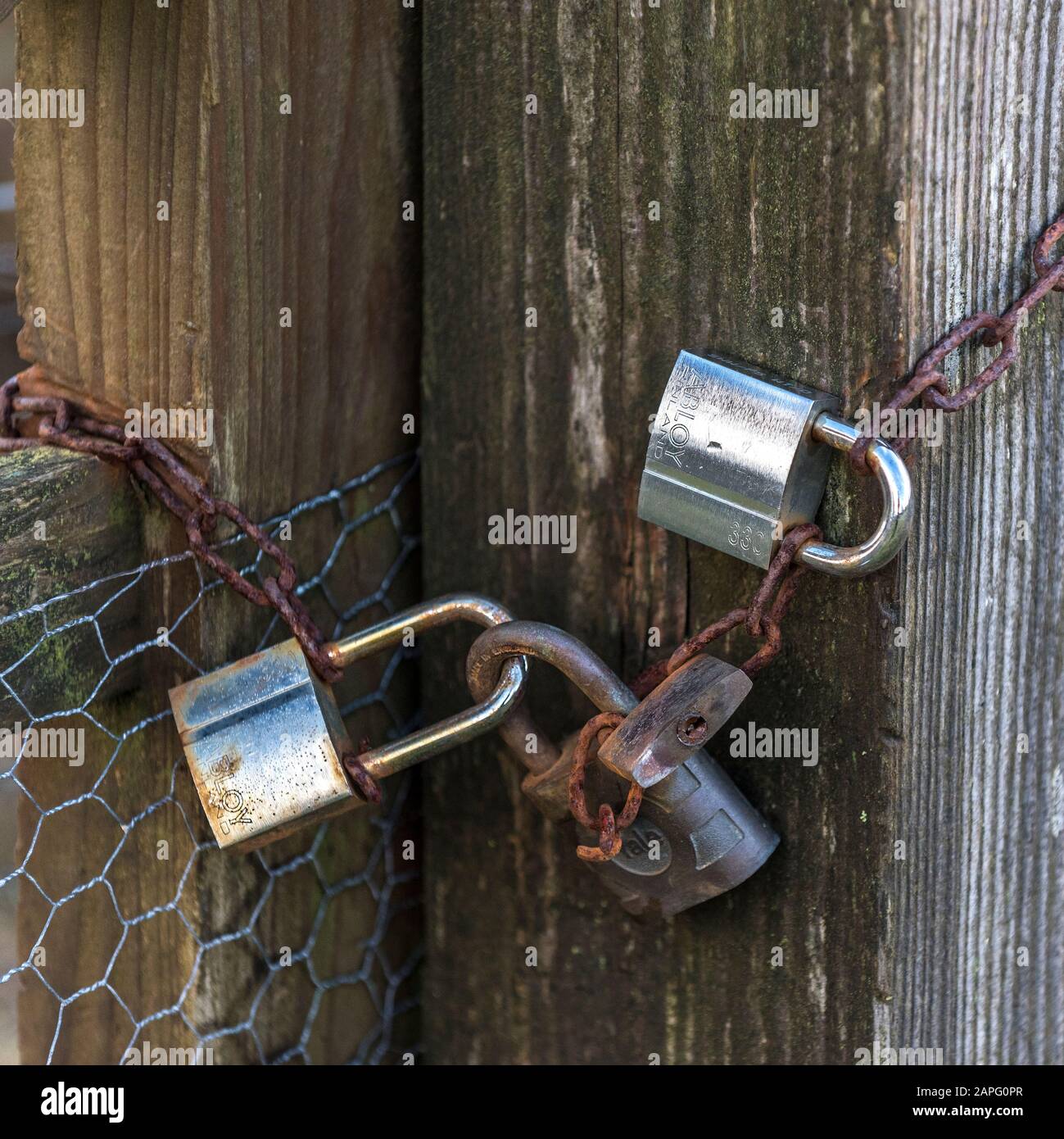 Abloy locks and a Yale lock on a rusty chain securing a wooden gate ...