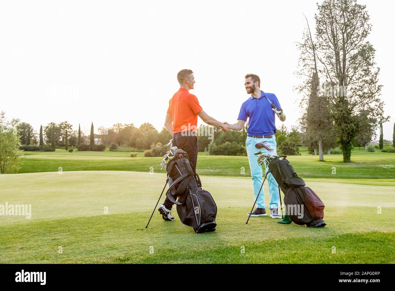 Friends shaking hands on golf course Stock Photo - Alamy