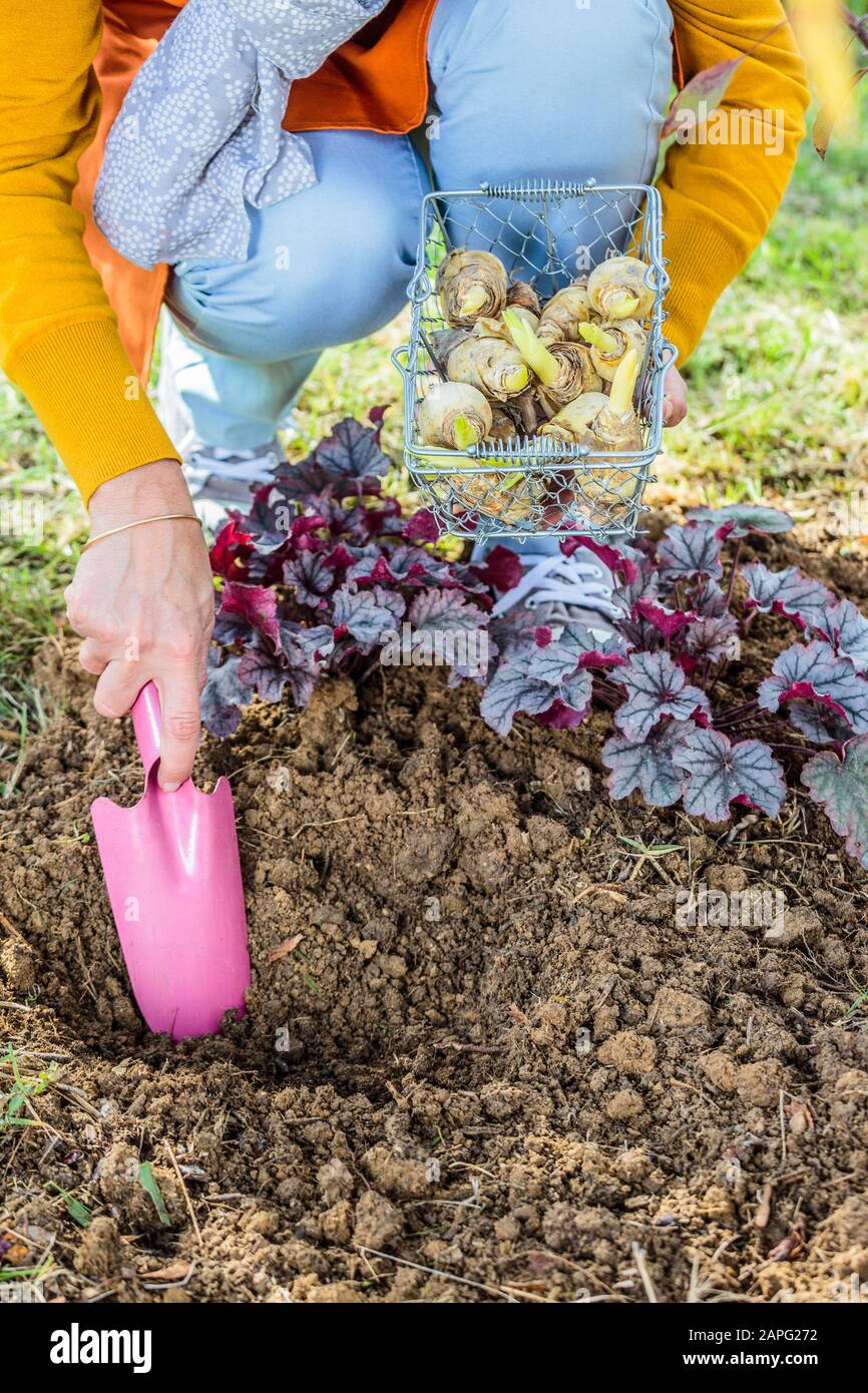 Dig a hole hi-res stock photography and images - Alamy
