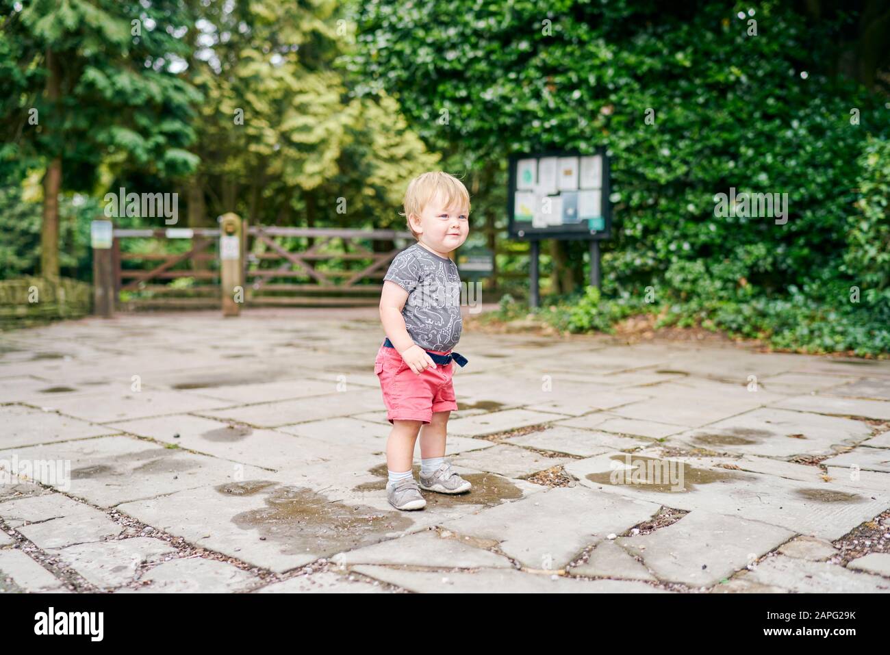 Toddler exploring park Stock Photo - Alamy
