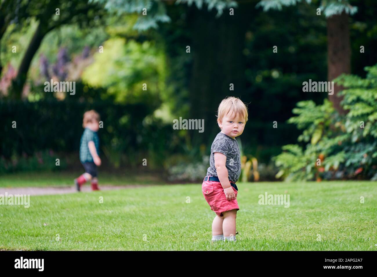 Toddlers exploring park Stock Photo - Alamy