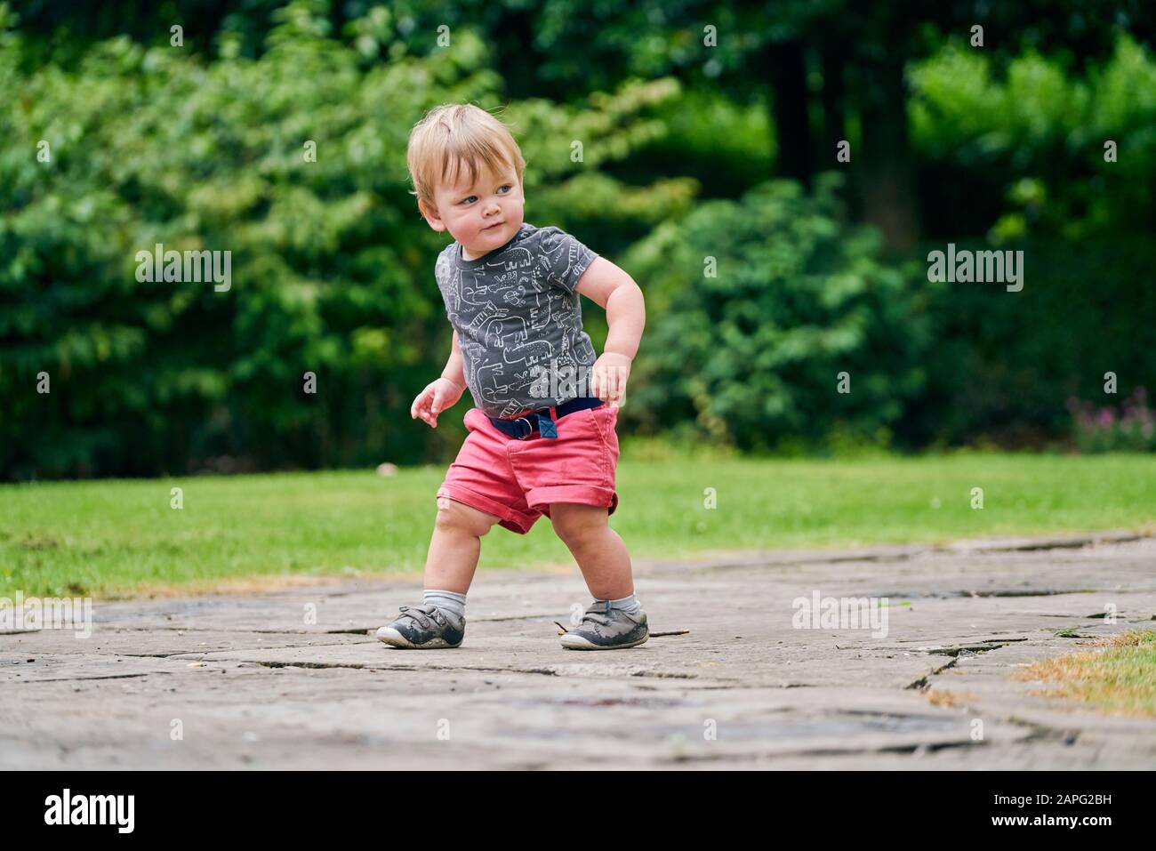 Toddler exploring park Stock Photo - Alamy