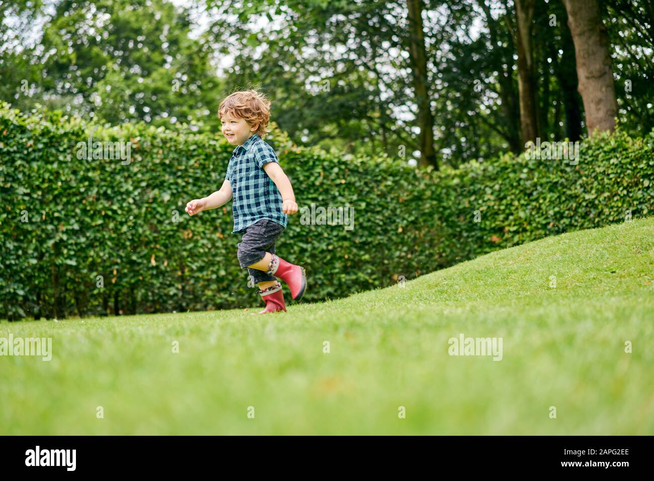 Toddler exploring park Stock Photo - Alamy