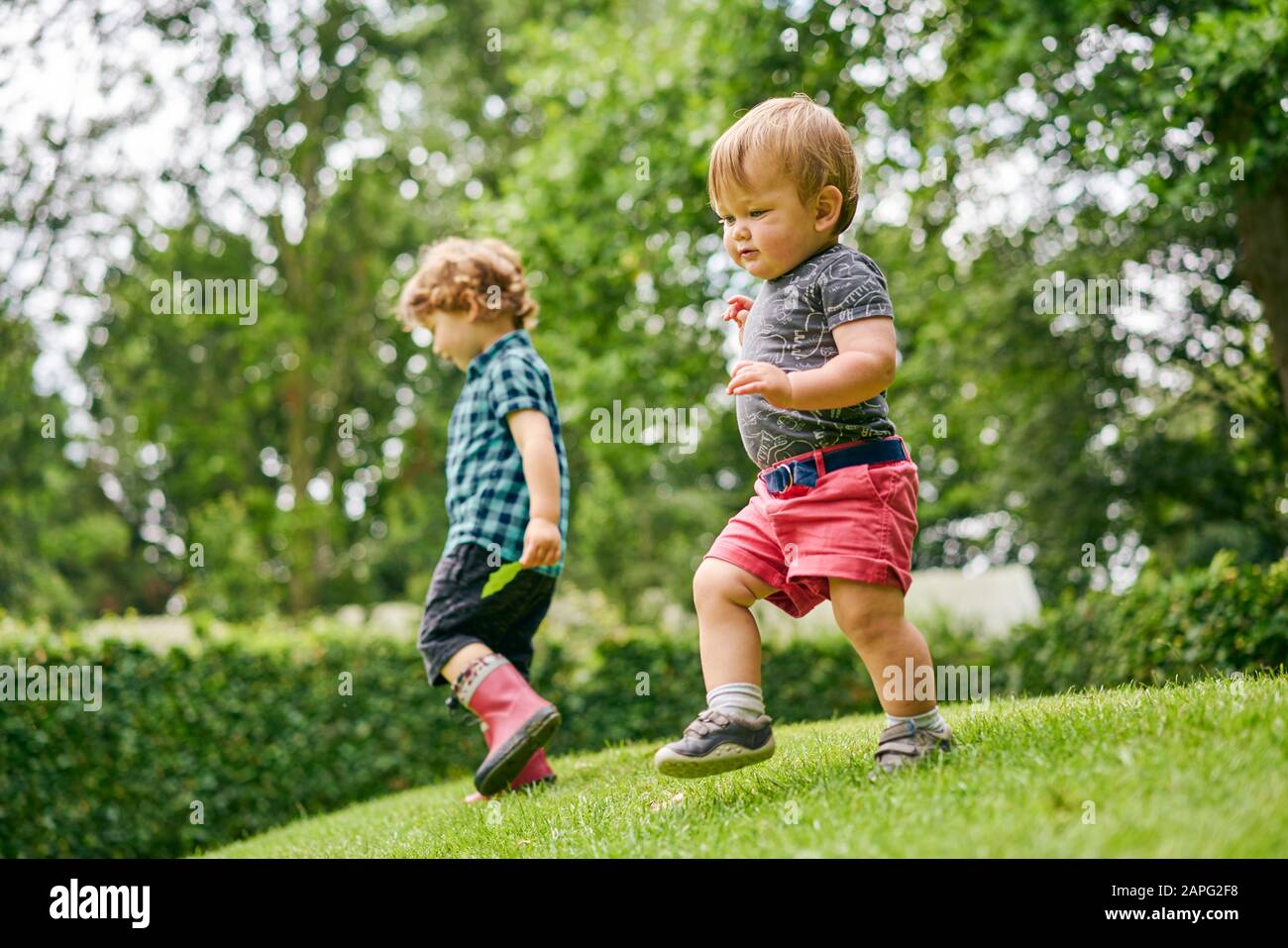 Toddlers exploring park Stock Photo - Alamy