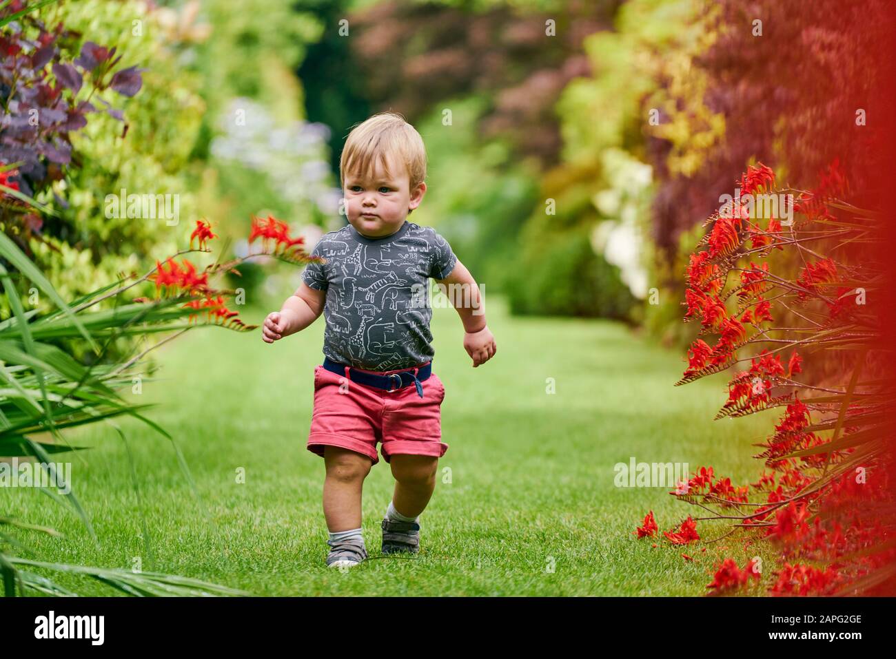 Boys walking in park hi-res stock photography and images - Alamy