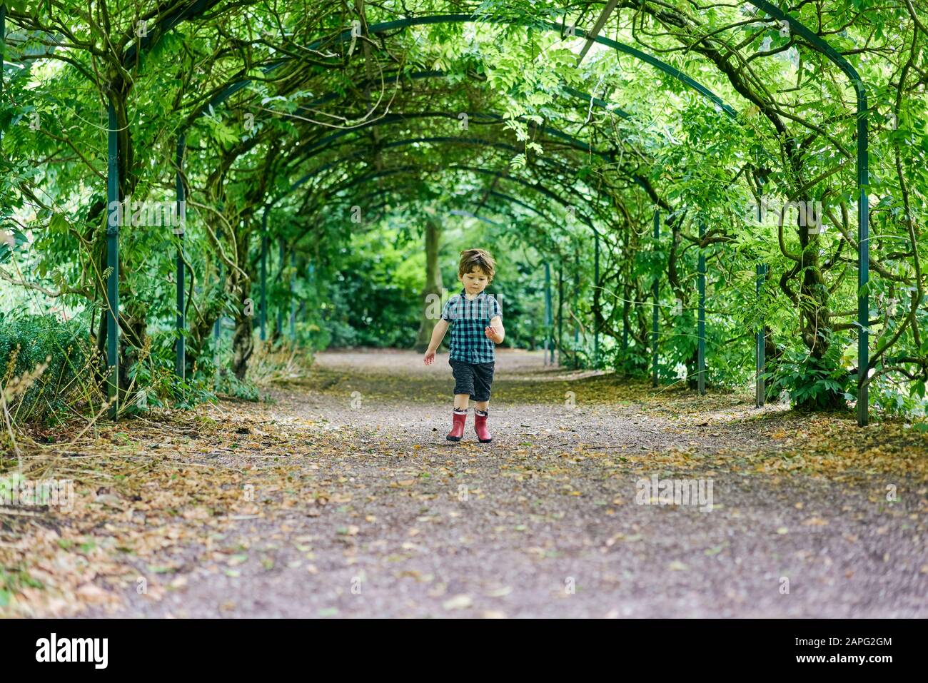 Toddler exploring park Stock Photo - Alamy