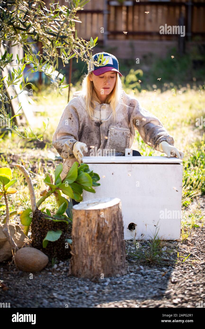 Female Beekeeper High Resolution Stock Photography and Images - Alamy