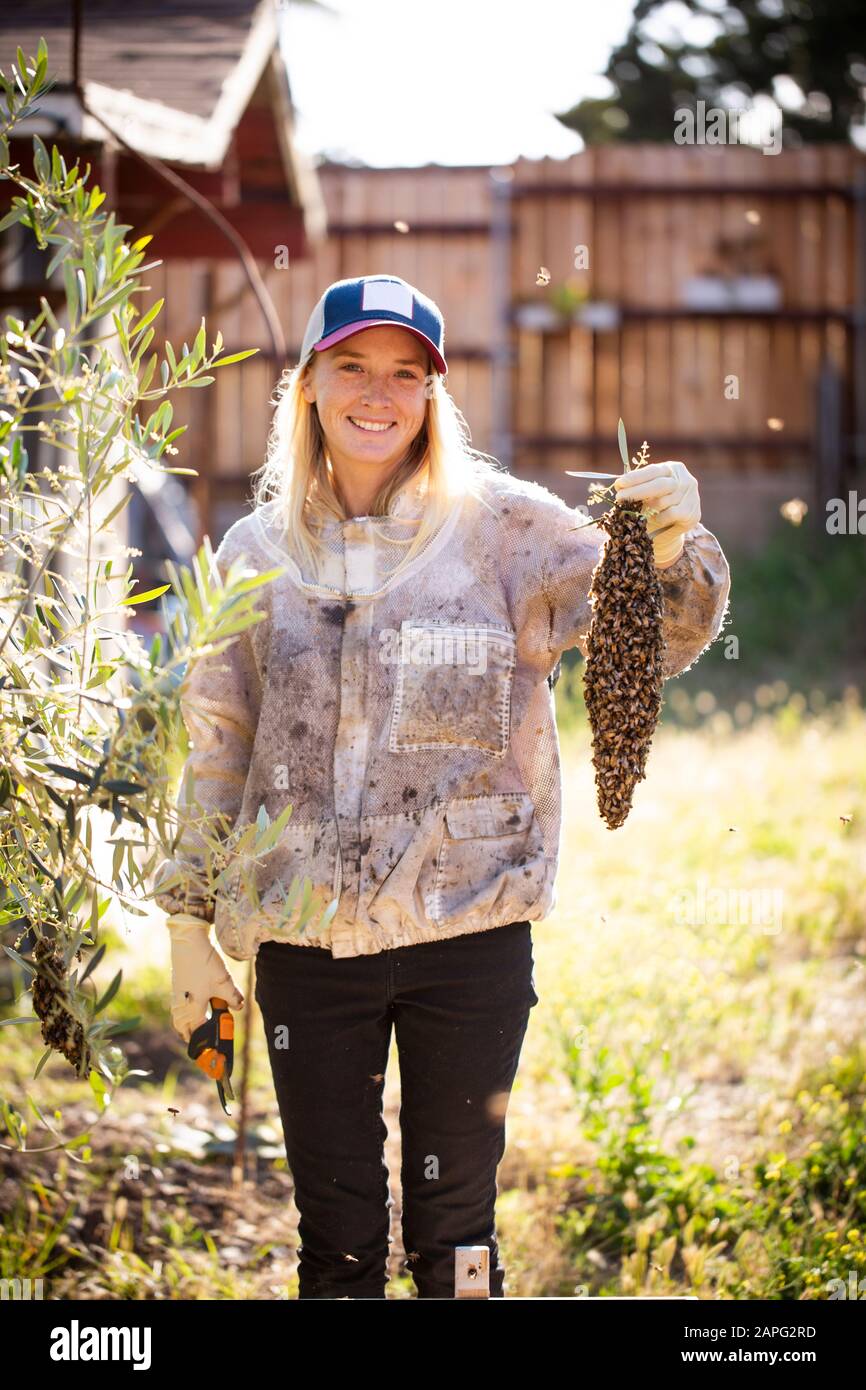 Female beekeeper holding swarm of bees Stock Photo - Alamy