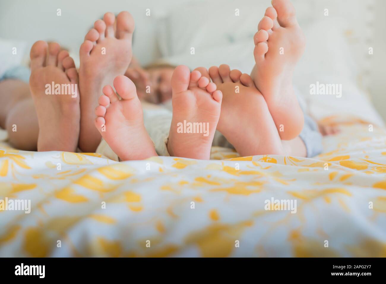 Three pairs of bare feet in a row, different sizes on a bed Stock Photo ...
