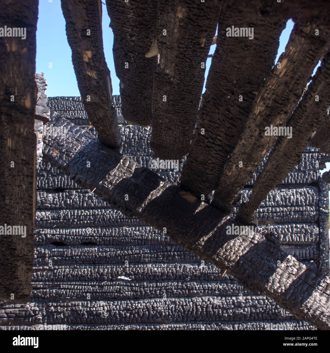 Natural fire ashes with dark grey black coals texture. It is a ...