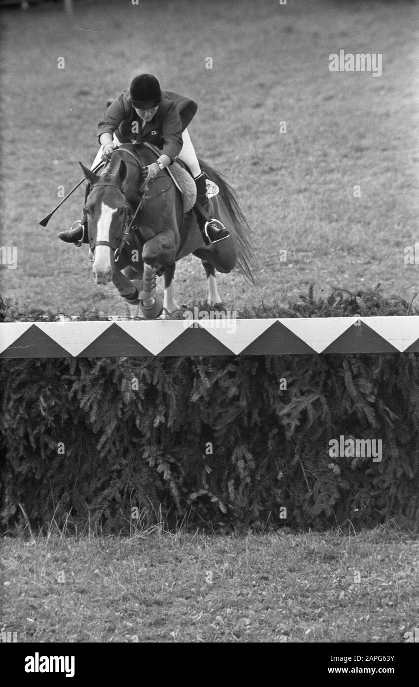 Simpson i a hi-res stock photography and images - Alamy