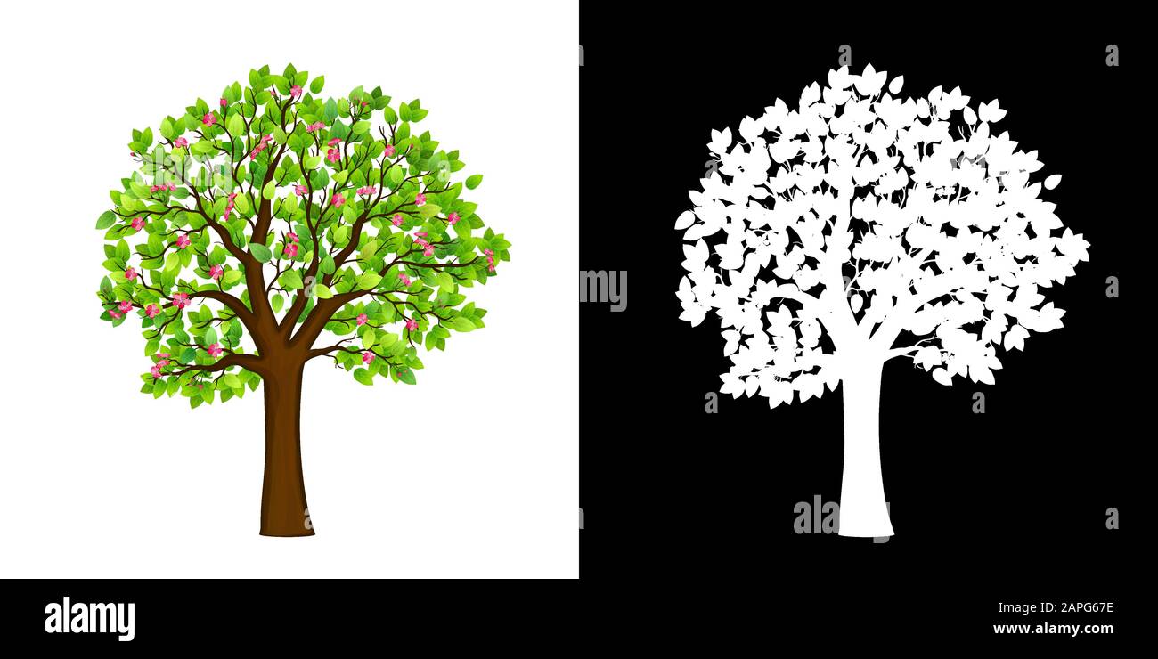 Spring cherry blossom tree background Stock Vector Images - Alamy