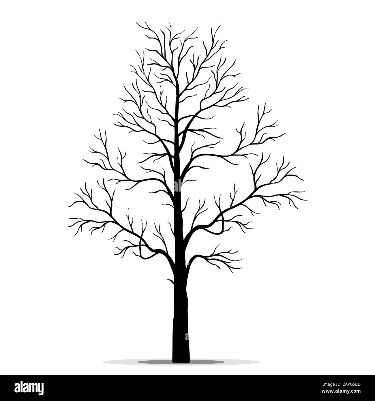 Tree silhouette vector Stock Vector Image & Art - Alamy