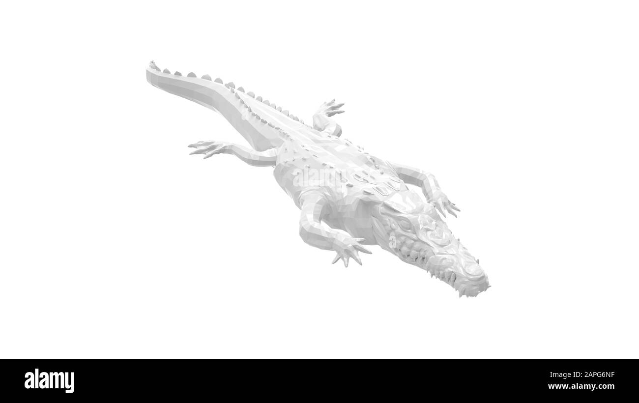 Alligator tail anatomy hi-res stock photography and images - Alamy