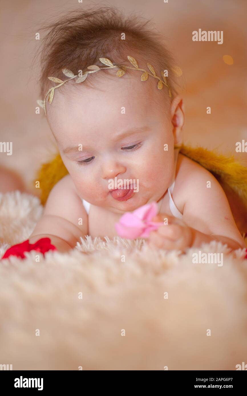 Little baby, angel in roses on a beige background Stock Photo - Alamy