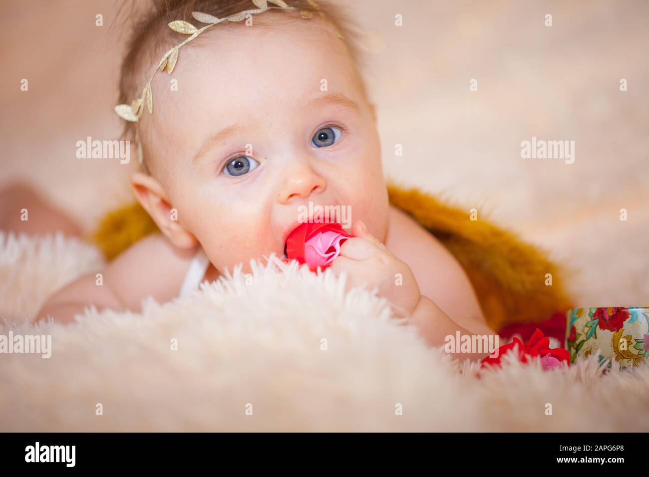 Little baby, angel in roses on a beige background Stock Photo - Alamy