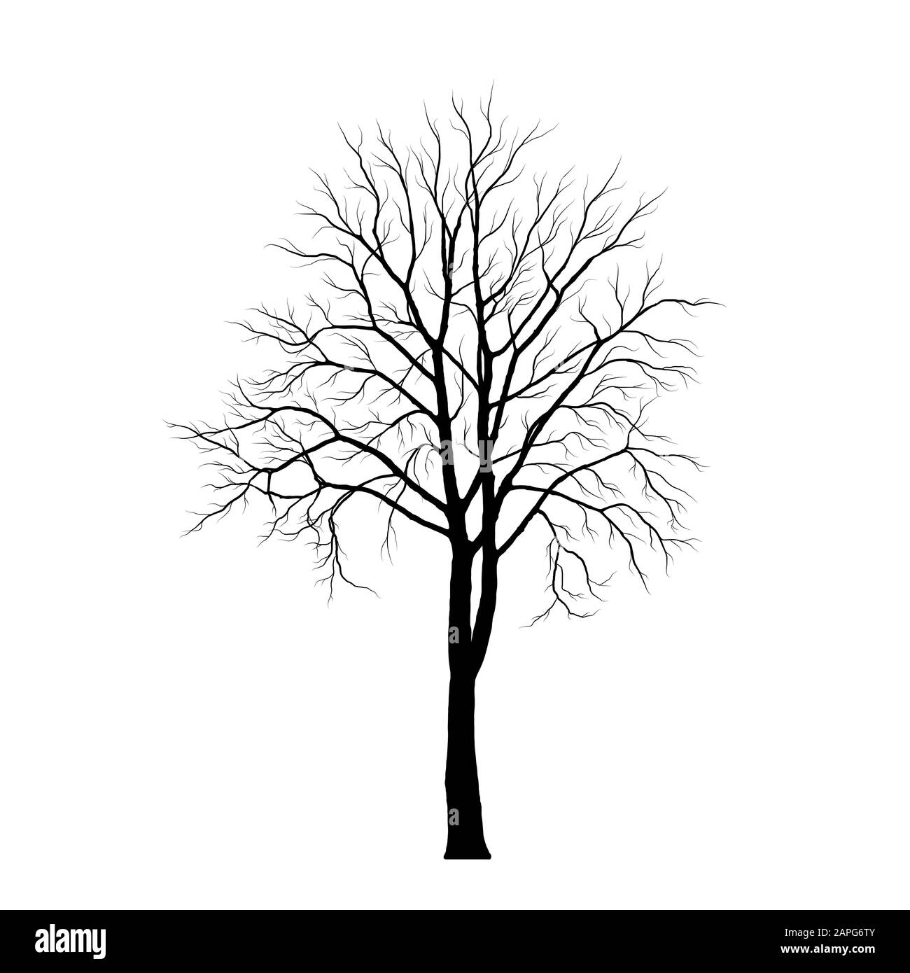 Black tree vector outline Cut Out Stock Images & Pictures - Alamy