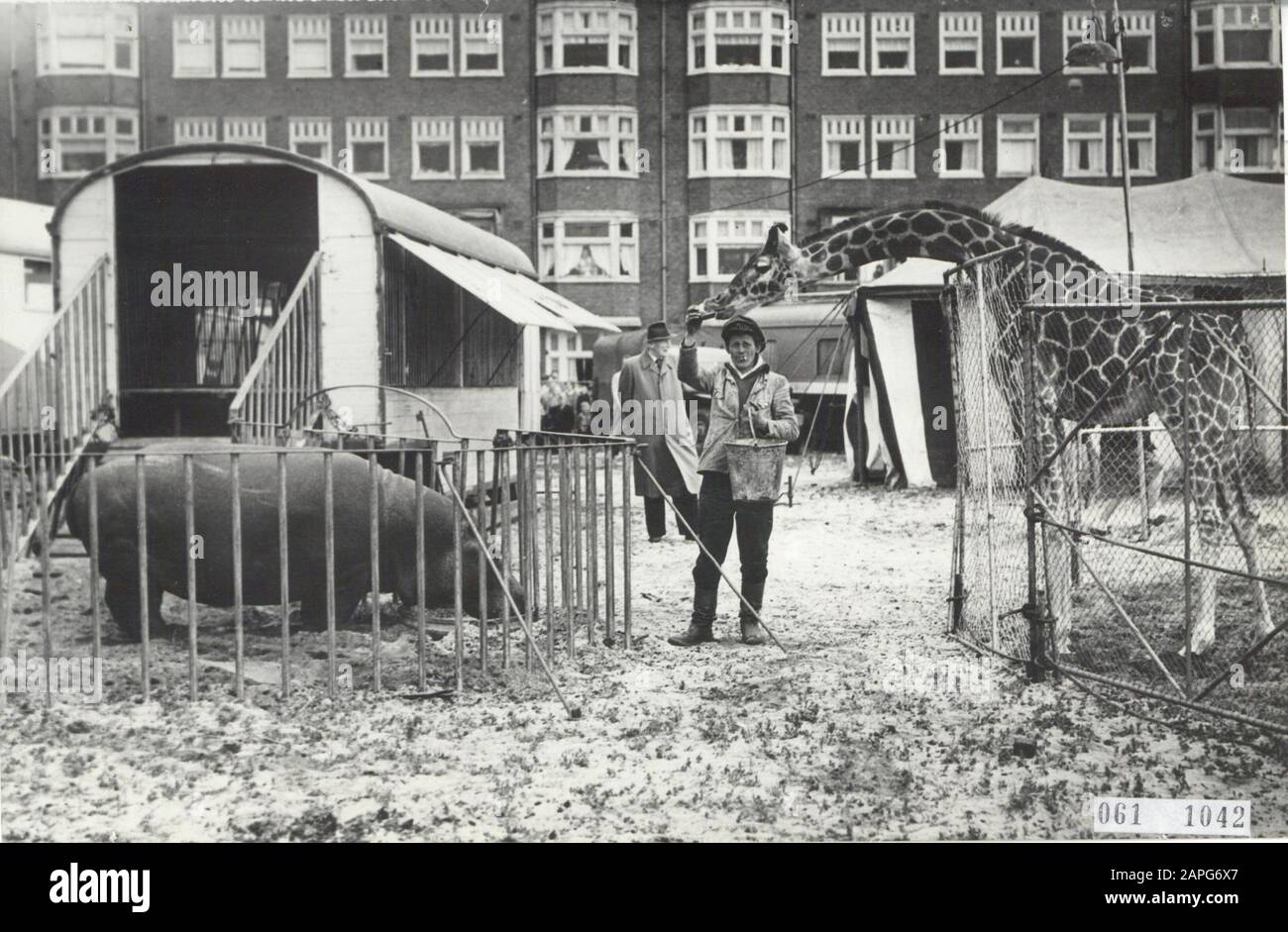 Circus althoff hi-res stock photography and images - Alamy