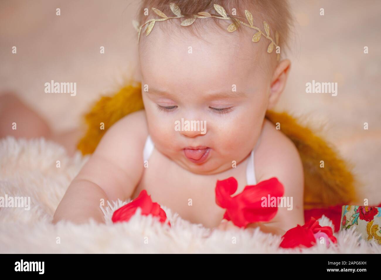Little baby, angel in roses on a beige background Stock Photo - Alamy