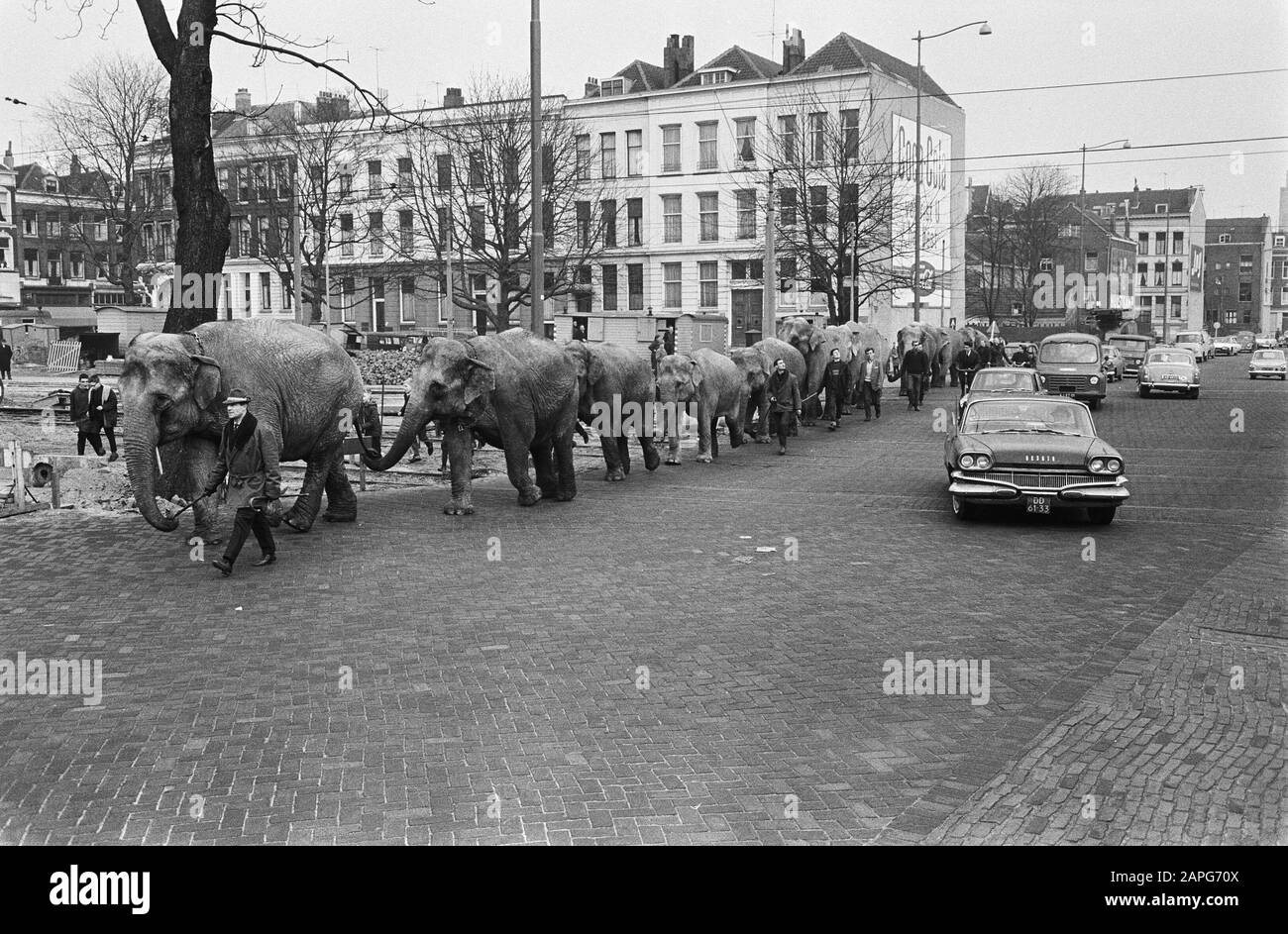 Barnum and bailey circus 1960s hi-res stock photography and images - Alamy