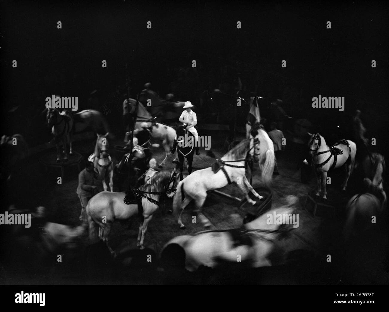Reportage Paris Description: Cirque Mediano: horse carousel Date: June ...