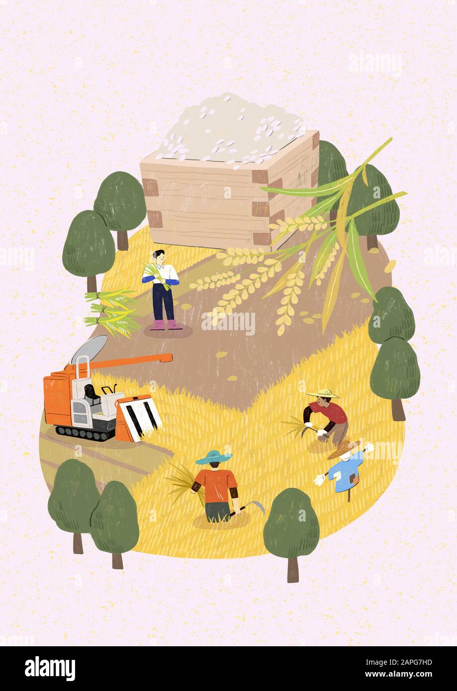 Cultivation of rice and vegetables Stock Vector Images - Alamy