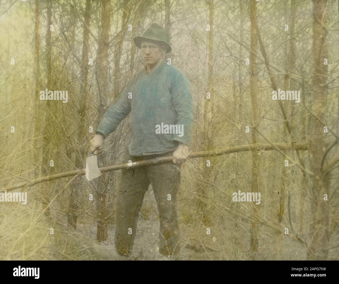 forestry, sand atomization, forestry, pine forest, dunsel Date: undated ...