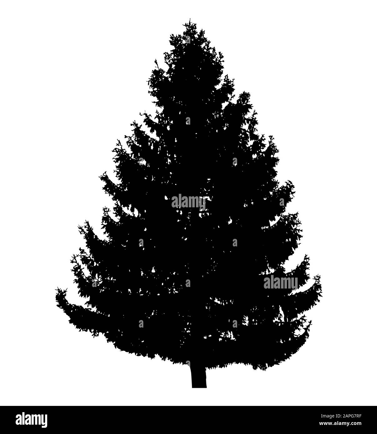 Pine tree isolated on white background vector Stock Vector Image & Art ...