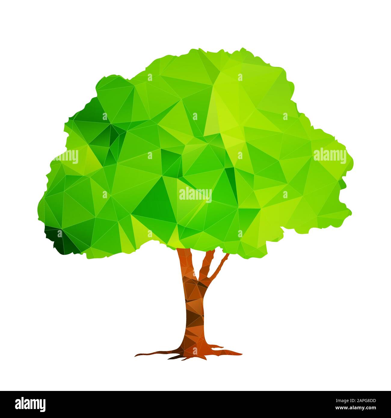 Polygon tree hi-res stock photography and images - Alamy