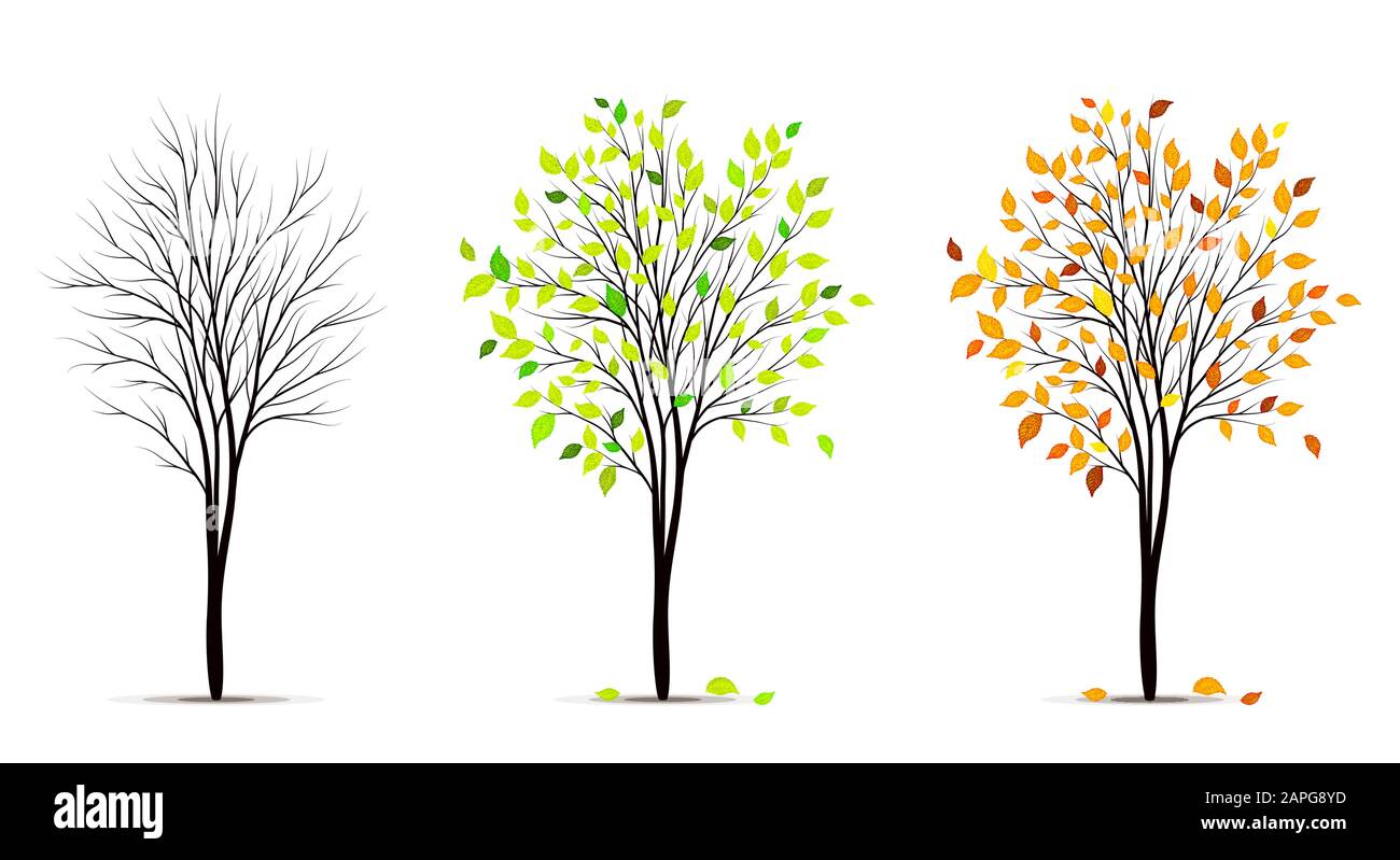 Seasons of tree vector Stock Vector Image & Art - Alamy