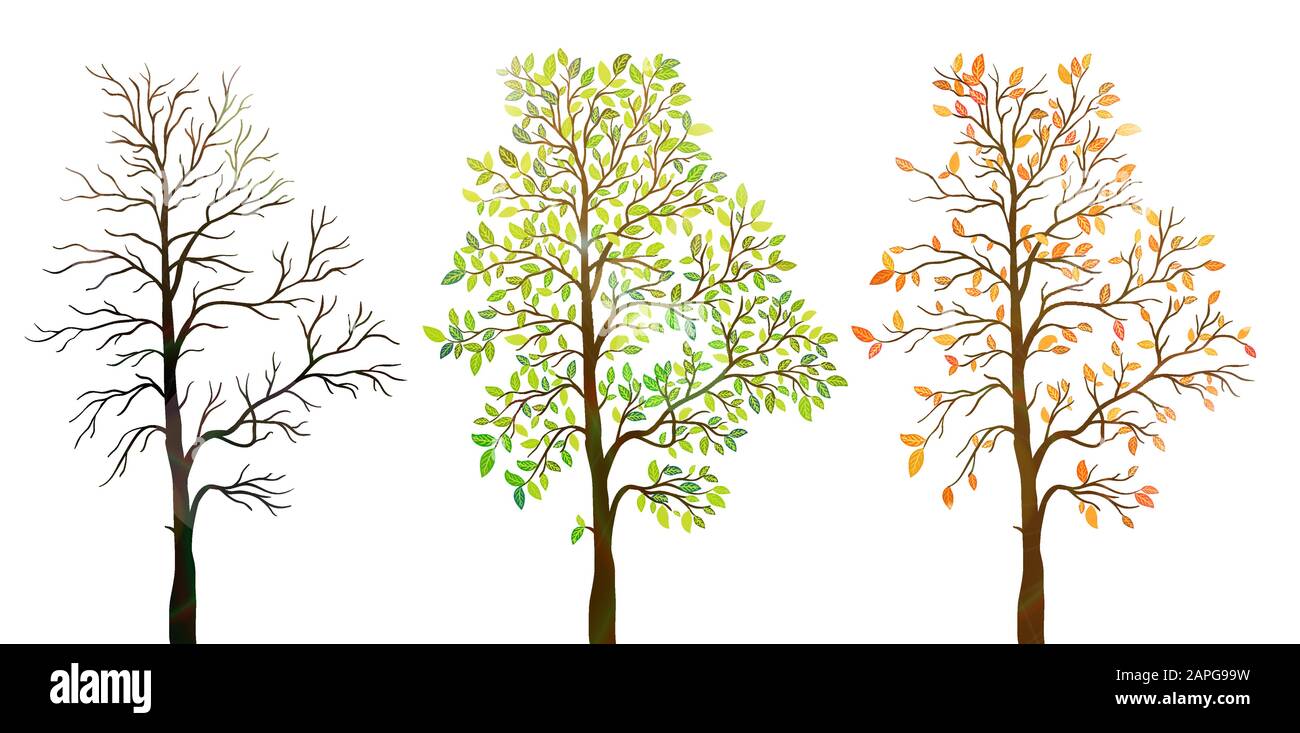 Seasons of tree vector Stock Vector Image & Art - Alamy
