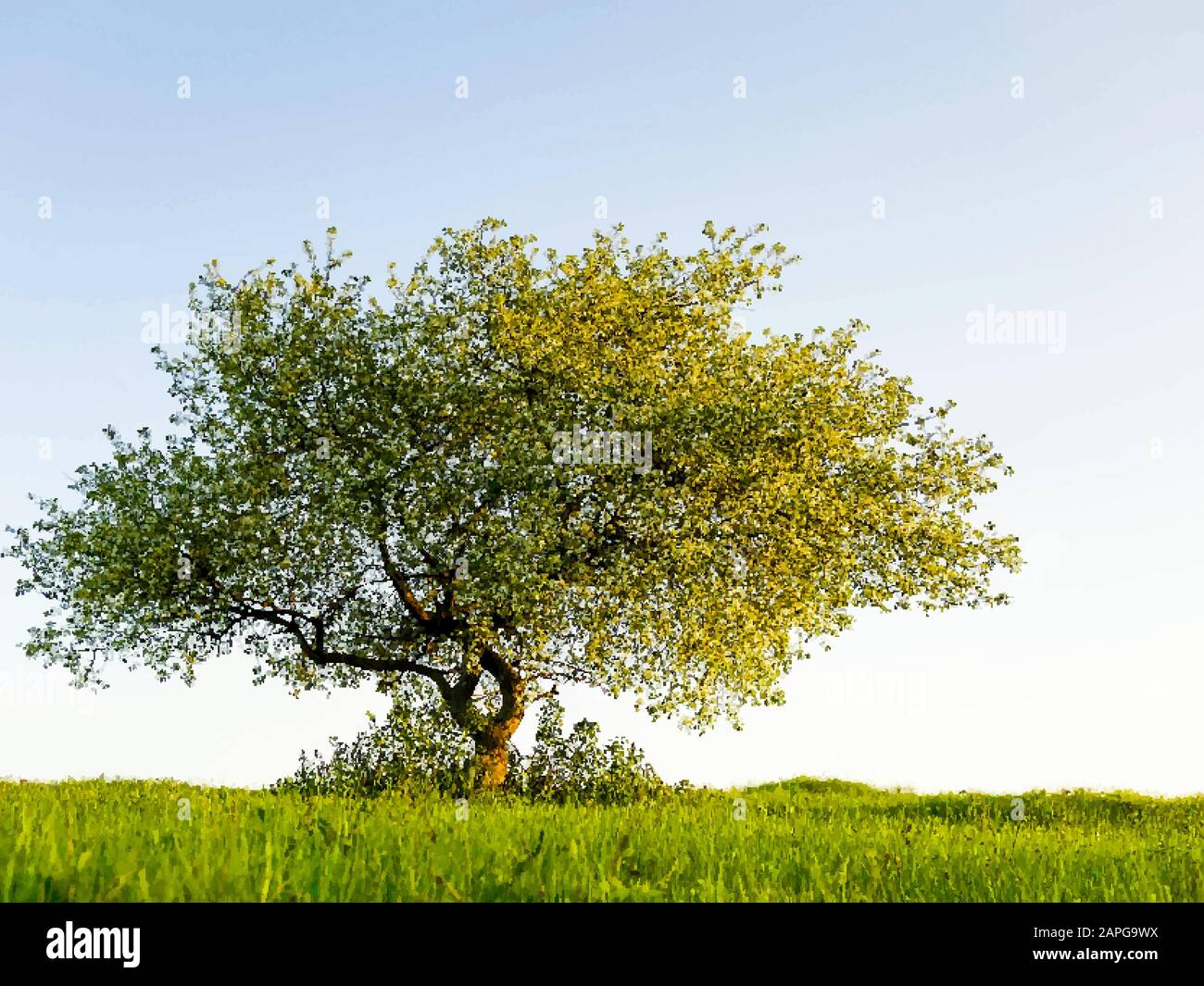 Nature background with green grass and tree vector Stock Vector Image ...