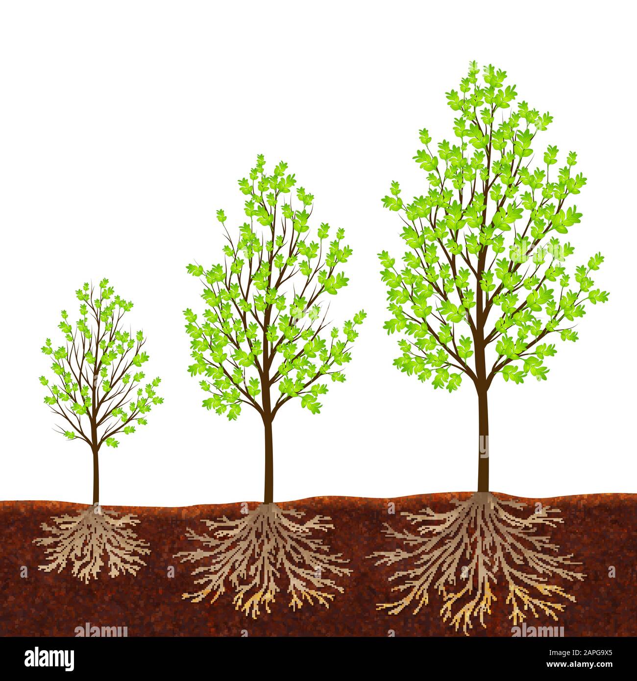 Growth vector vectors hi-res stock photography and images - Alamy