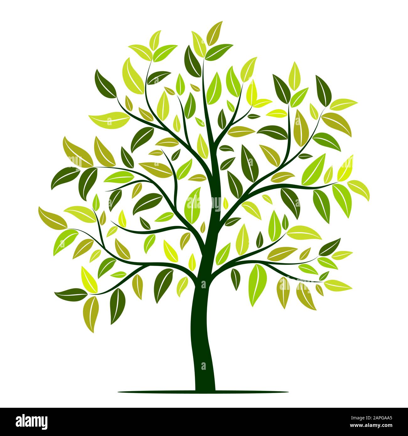 Green tree with leaves vector Stock Vector Image & Art - Alamy