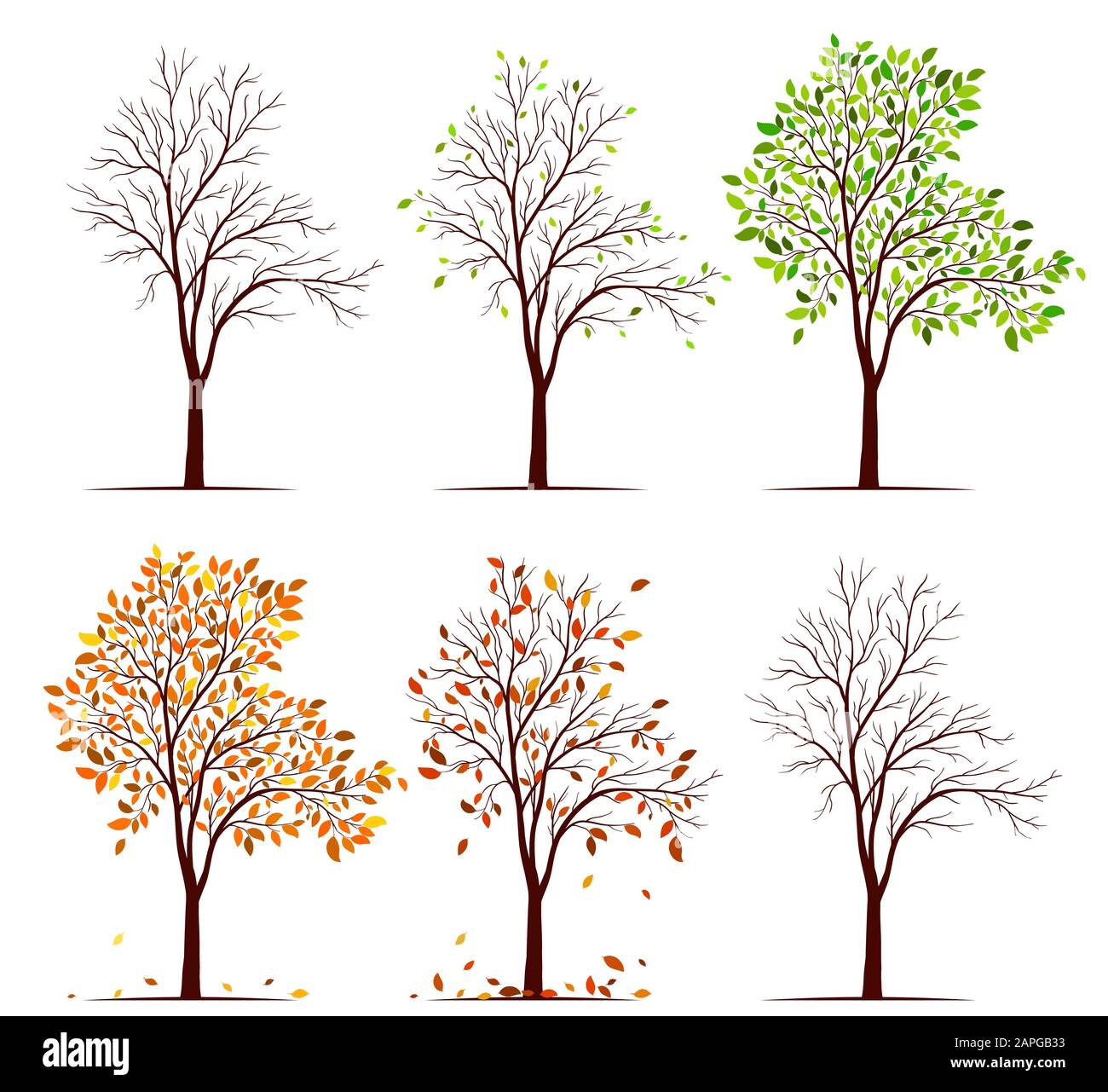 Seasons of tree vector Stock Vector Image & Art - Alamy