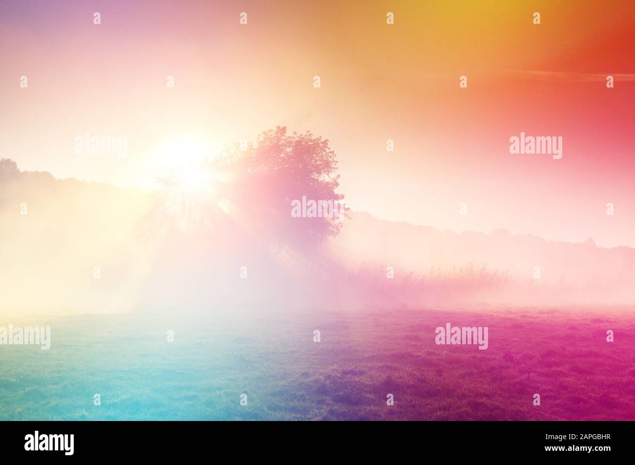 Fantastic foggy river with fresh grass. Dramatic scenery. Seret river ...