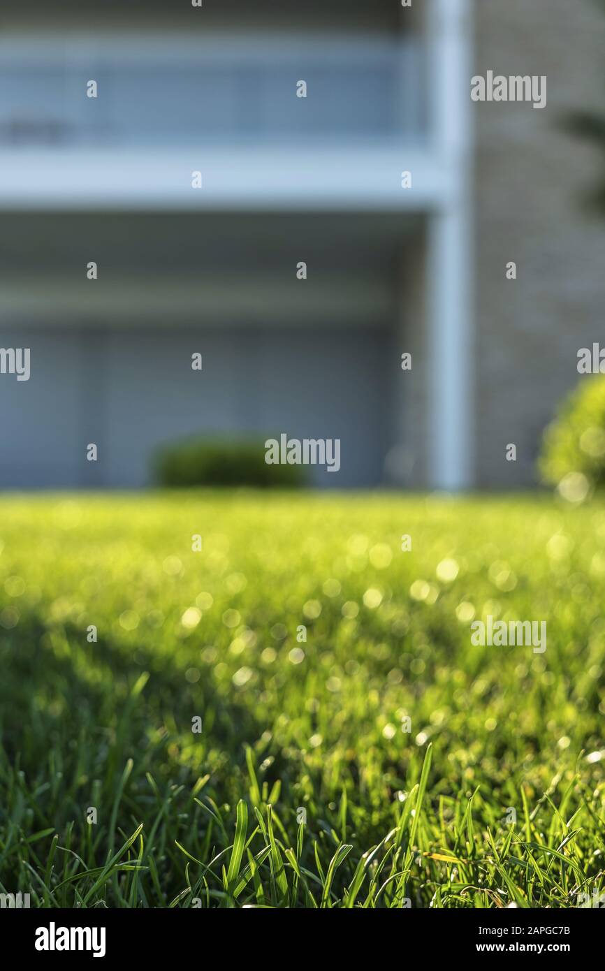 Vertical shot of the green grass in front of a building under the sun ...