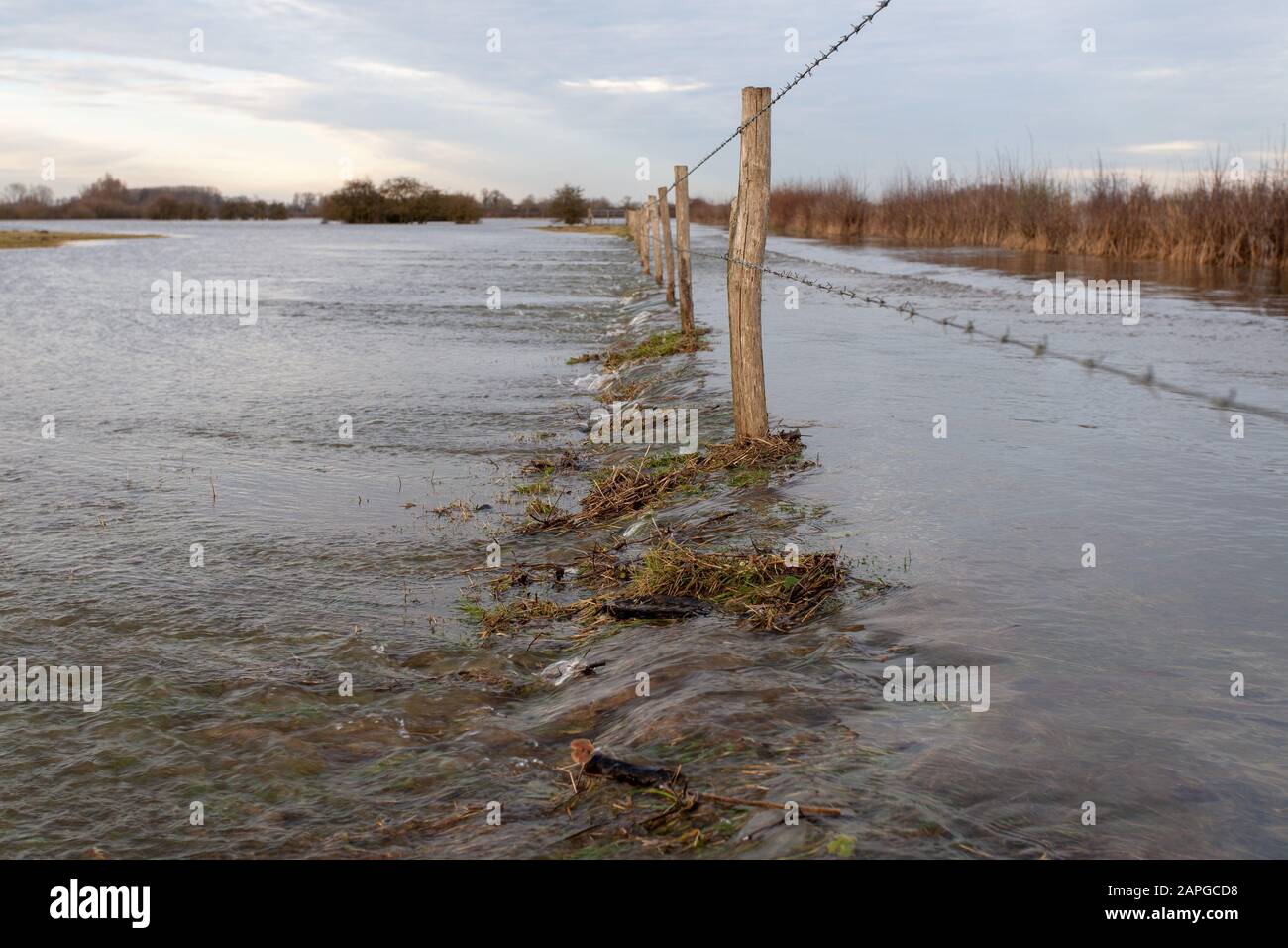 Bard wire hi-res stock photography and images - Alamy