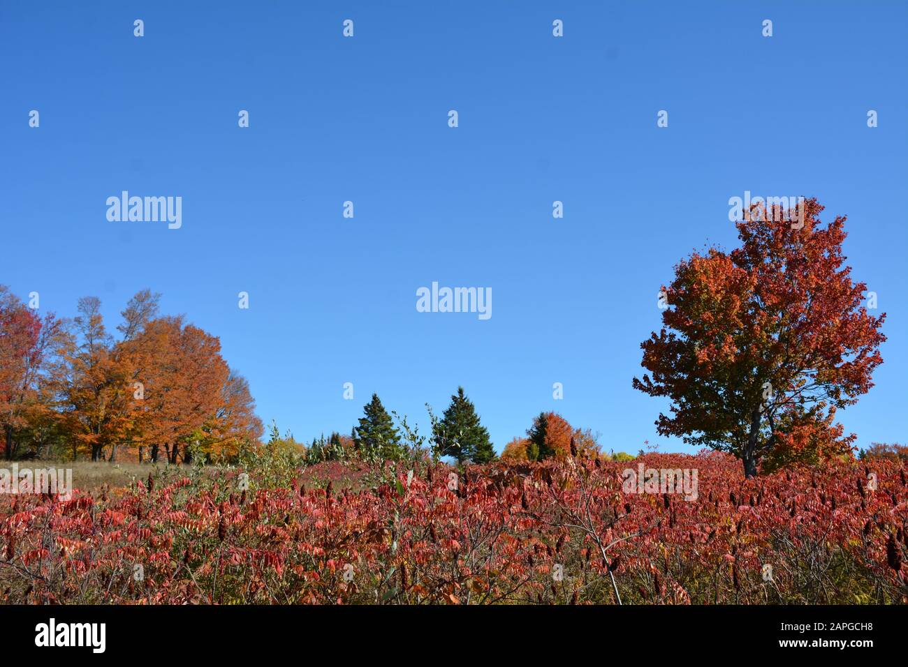 Colourful farm in ontario hi-res stock photography and images - Alamy