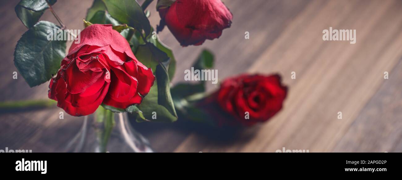 Withered rose on dark gray background and wooden table with fall petals ...