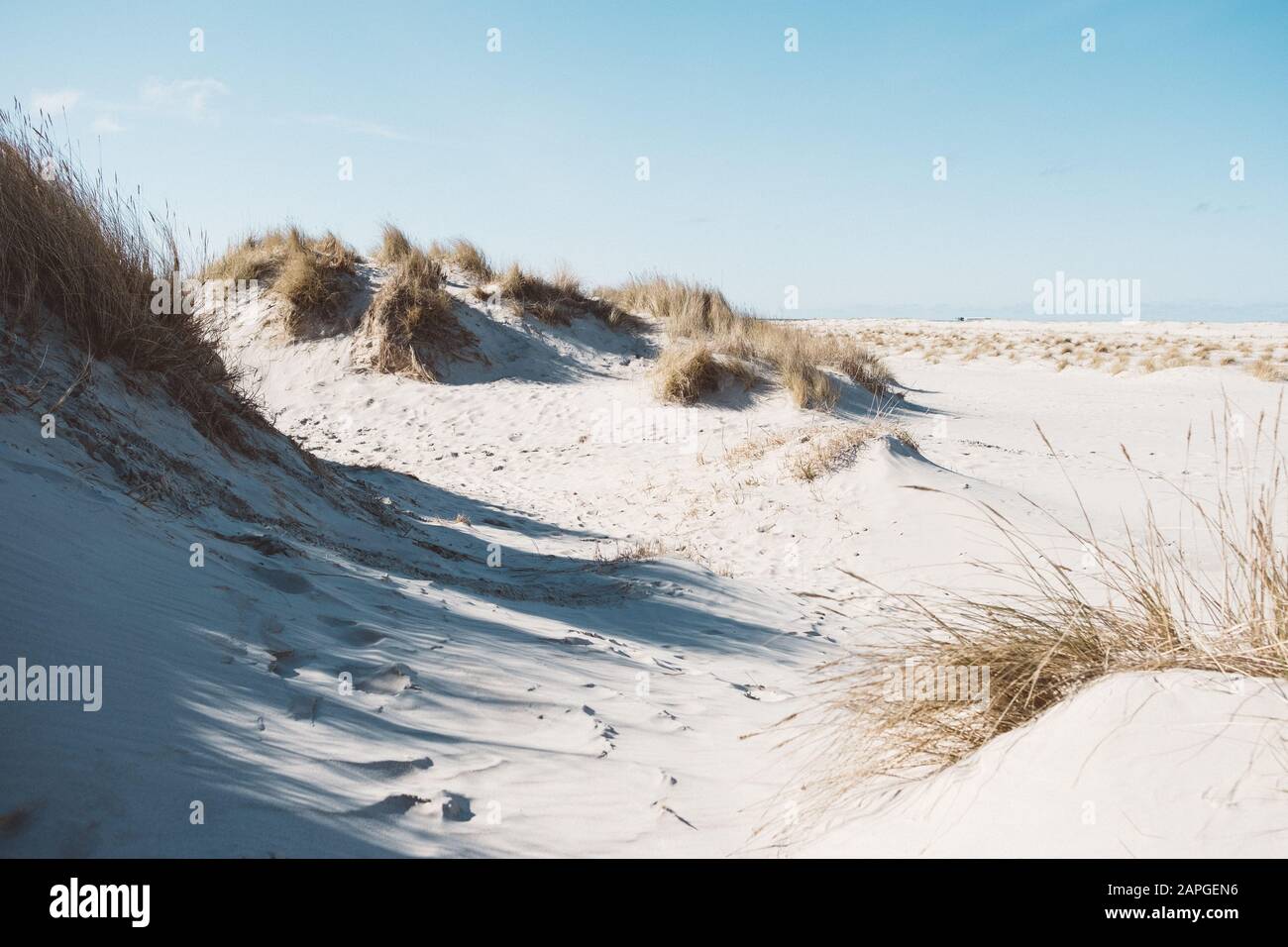 Wide angle shot of a landscape made of sand and dry plants Stock Photo ...