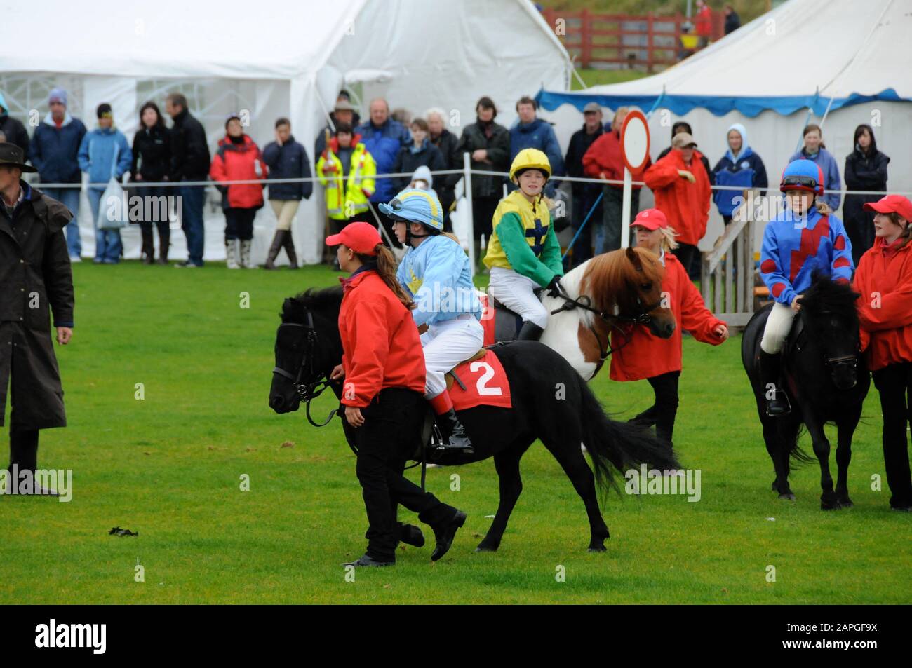 Shetland Grand National event being held at the Shetland Pony & Breeders show 2019 in Lerwick ...