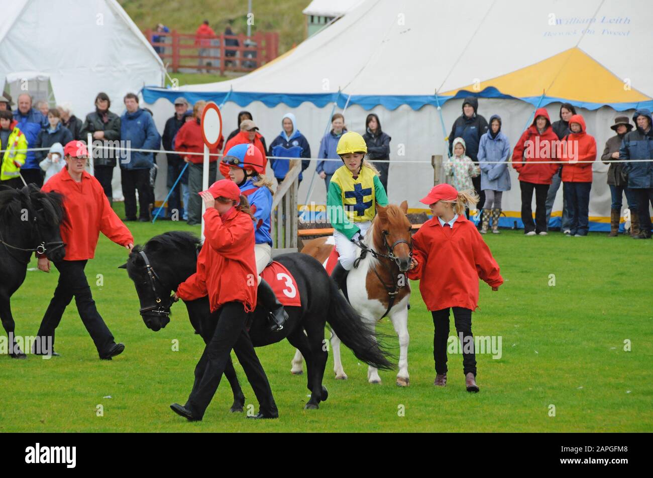Shetland Grand National event being held at the Shetland Pony & Breeders show 2019 in Lerwick ...