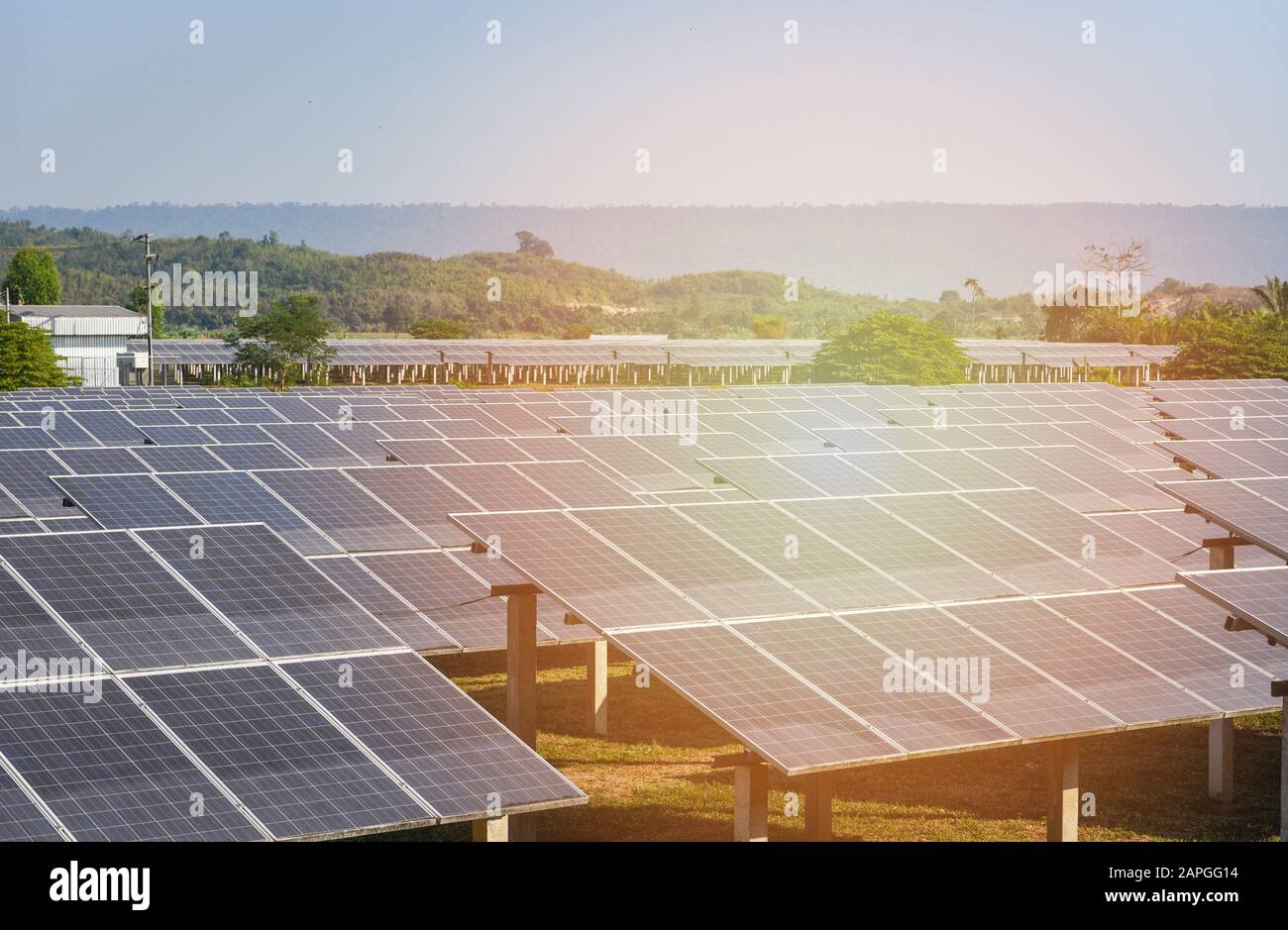 View of solar panels in the solar farm with green tree and sun lighting ...