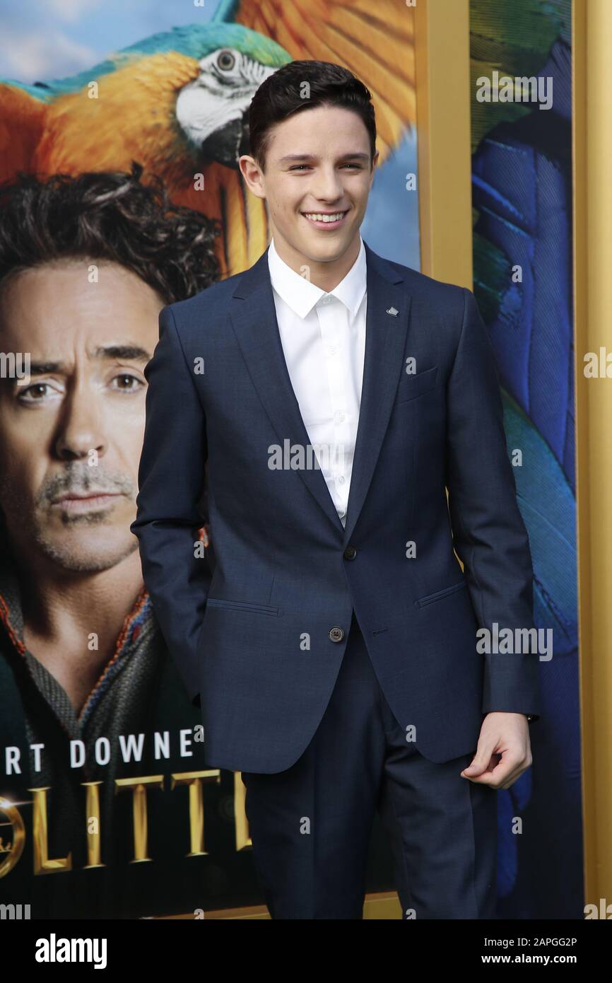 January 11, 2020, Westwood, CA, USA: LOS ANGELES - JAN 11: Harry ...